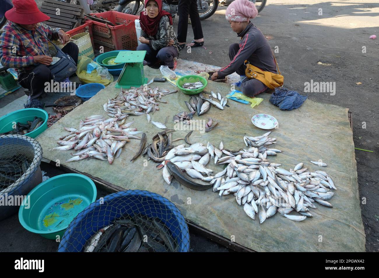 Women selling fish at the street market of Battambang in Cambodia. Fish ...