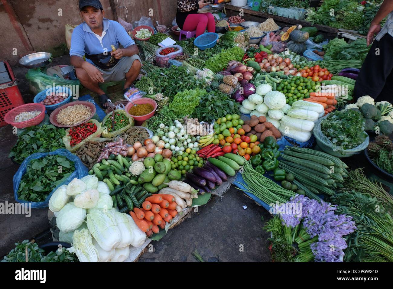 Vegetable at the New Market or Psar Thmei in the city Battambang in ...
