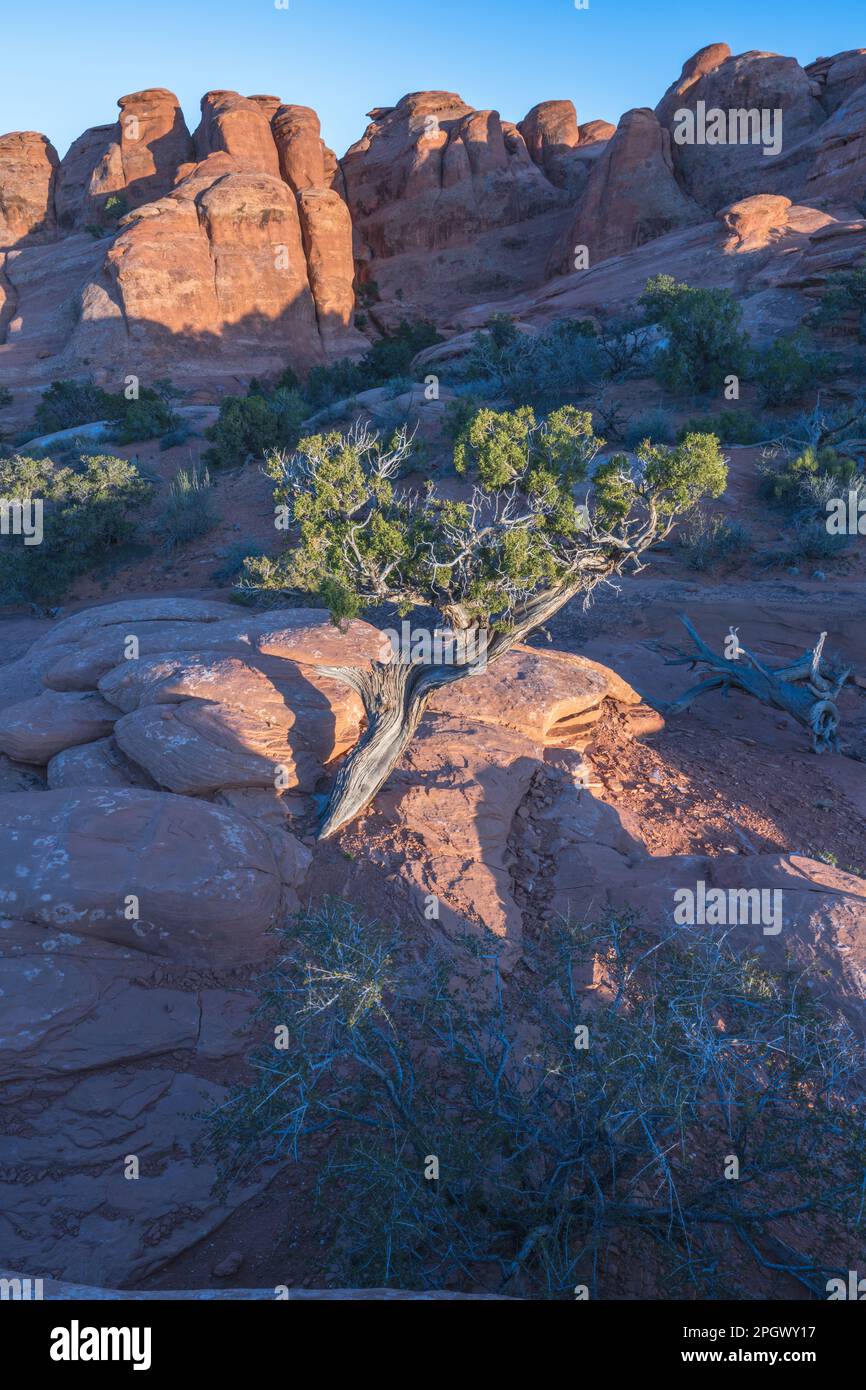 hiking the broken arch trail in arches national park in utah, usa Stock ...