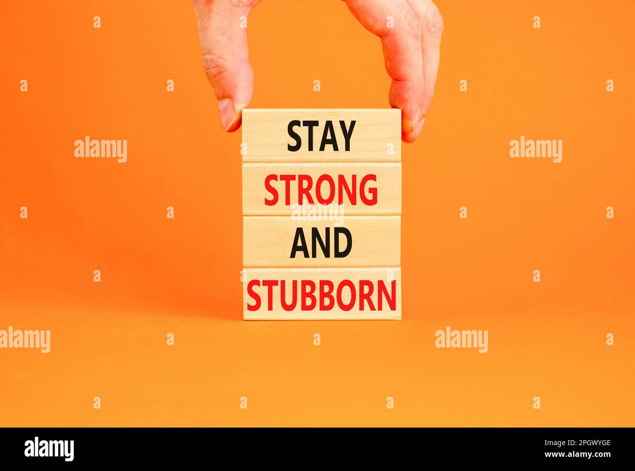 Stay strong and stubborn symbol. Concept words Stay strong and stubborn ...