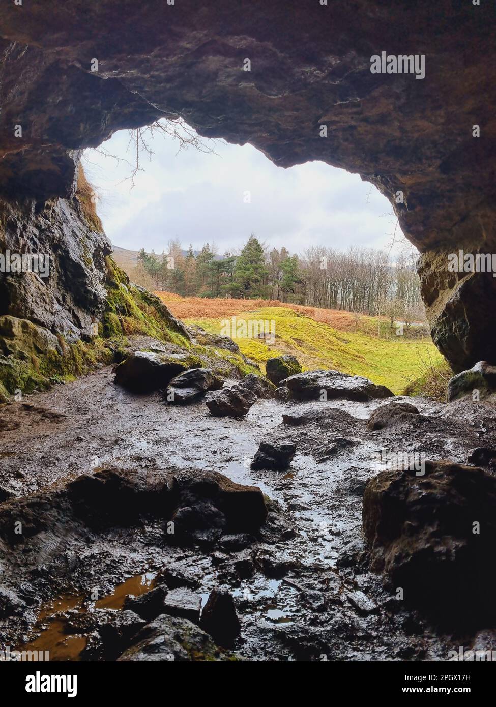 A dark and damp cave interior with a few scattered rocks on the ground ...