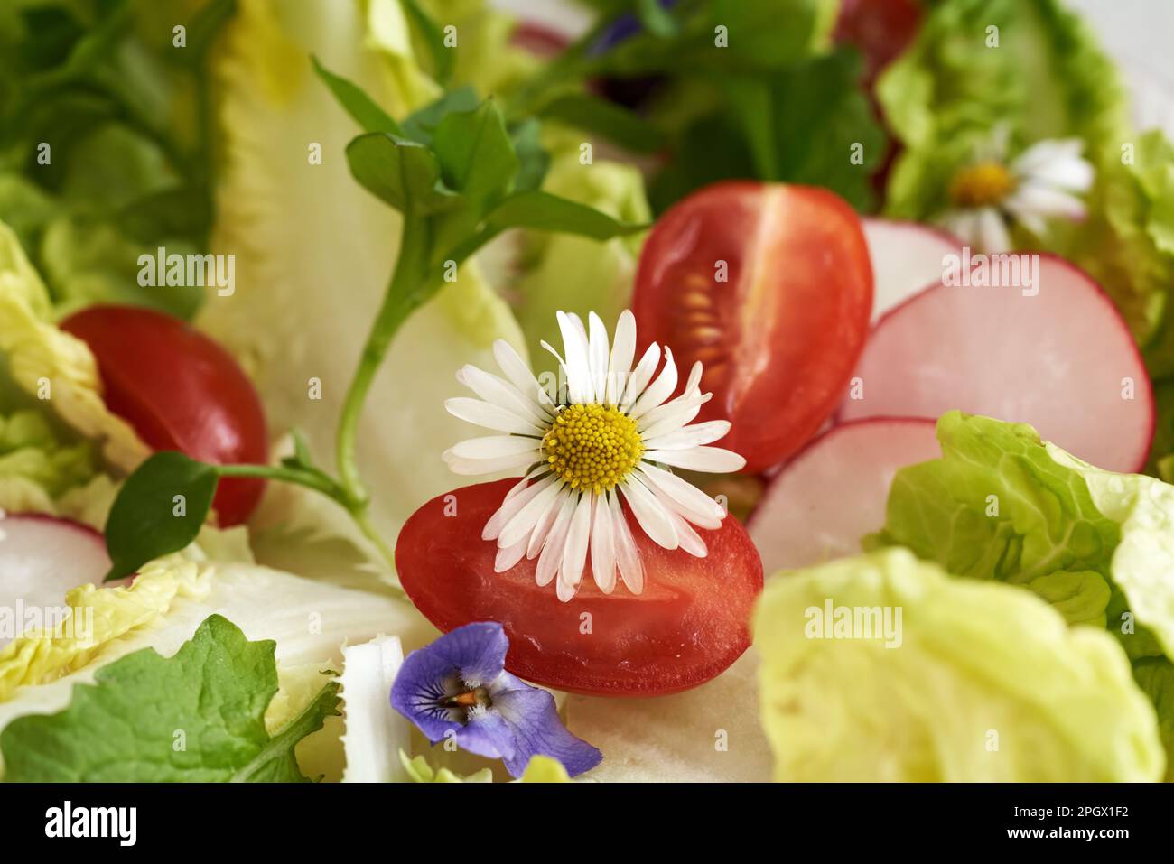 Closeup of a vegetable salad with common daisy, chickweed and other ...
