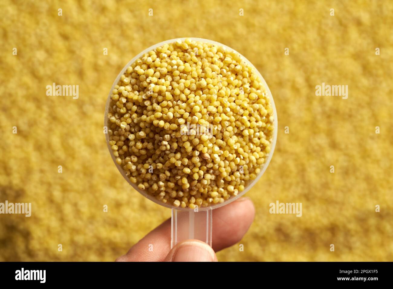 Hand holding a measuring cup full of peeled millet, top view Stock ...