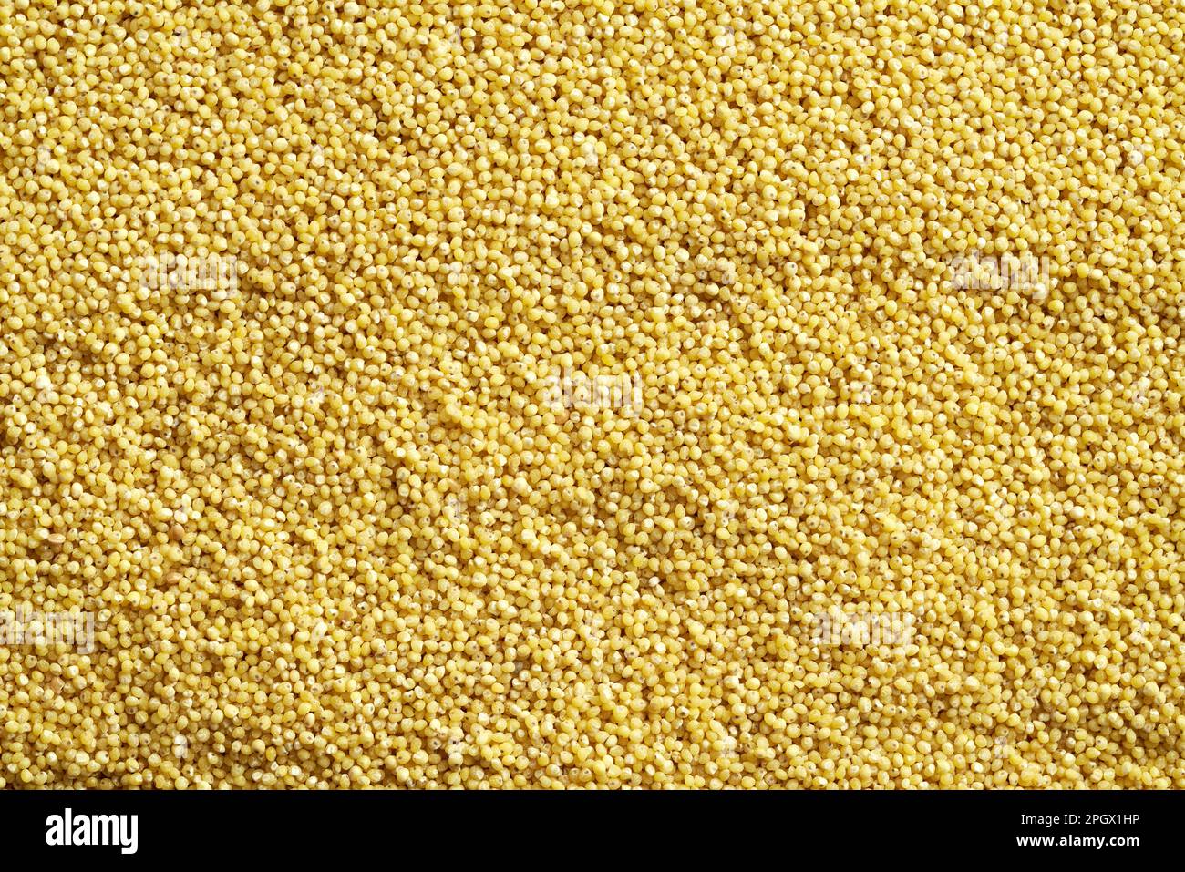 Textured yellow background made of peeled millet Stock Photo - Alamy