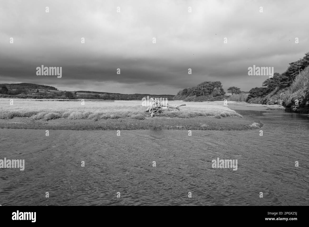 The Otter estuary in Budleigh Salterton in Devon Stock Photo - Alamy
