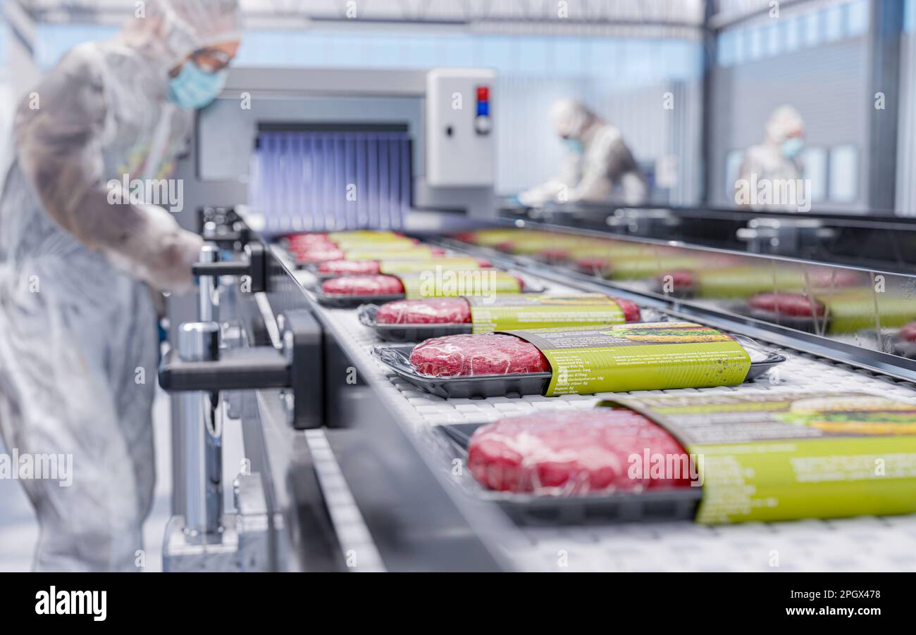 Conveyor in a factory of ready-made plant-based veggie hamburger ...