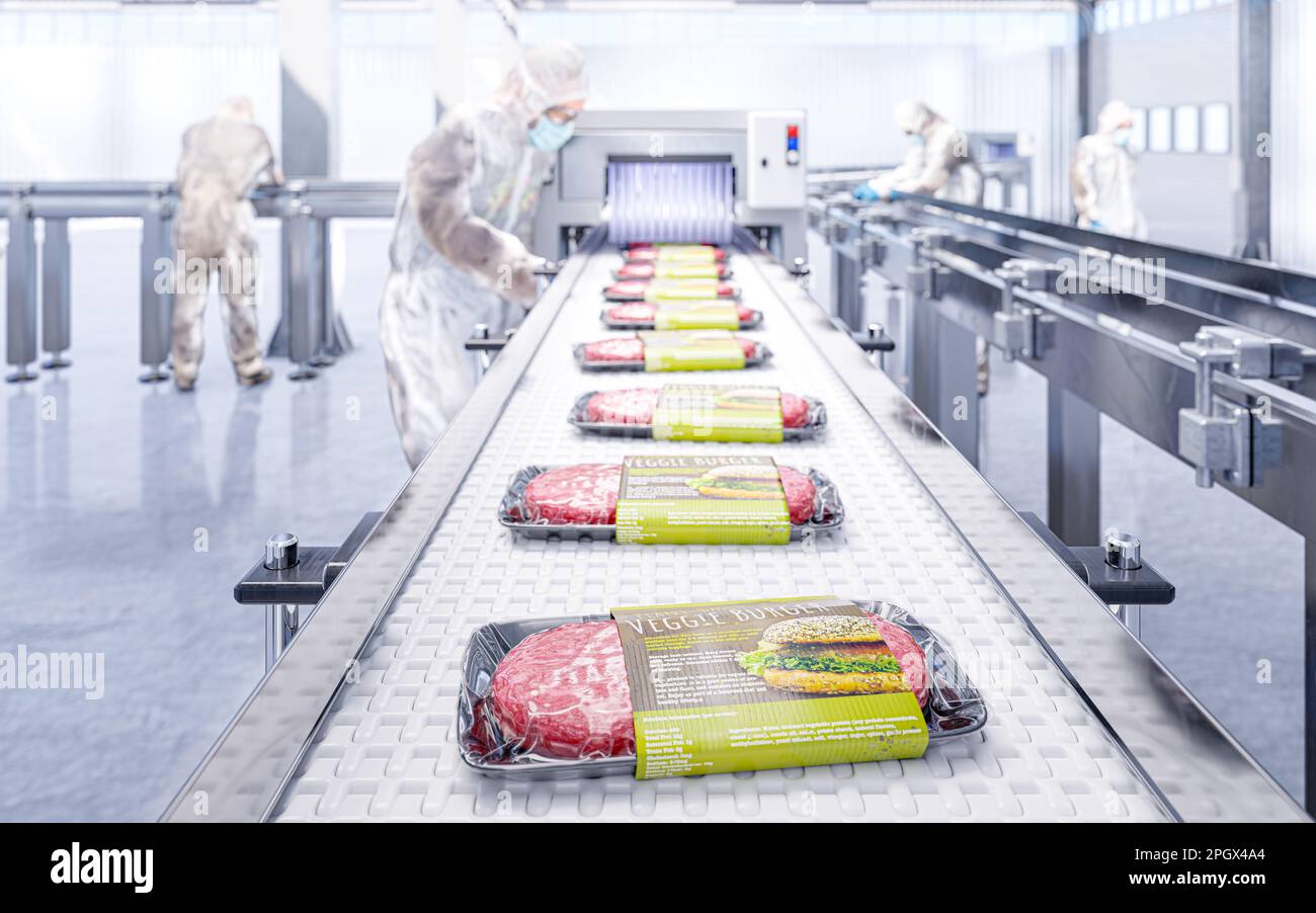 Conveyor in a factory of ready-made plant-based vegge hamburger cutlets ...