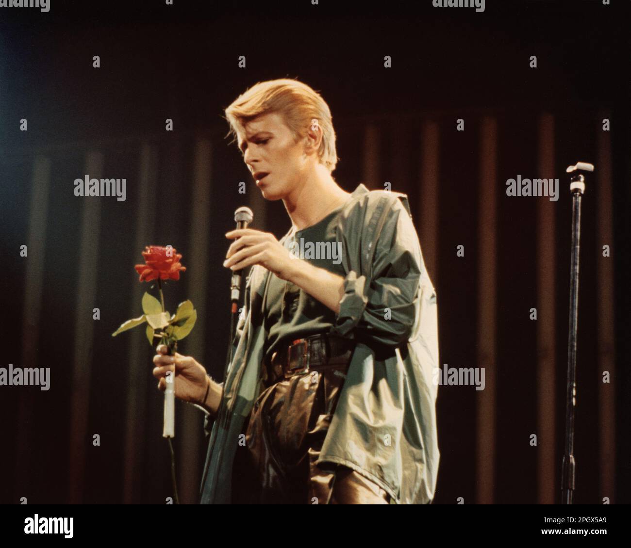 David Bowie holding a red rose at the Civic Center in Providence, Rhode ...
