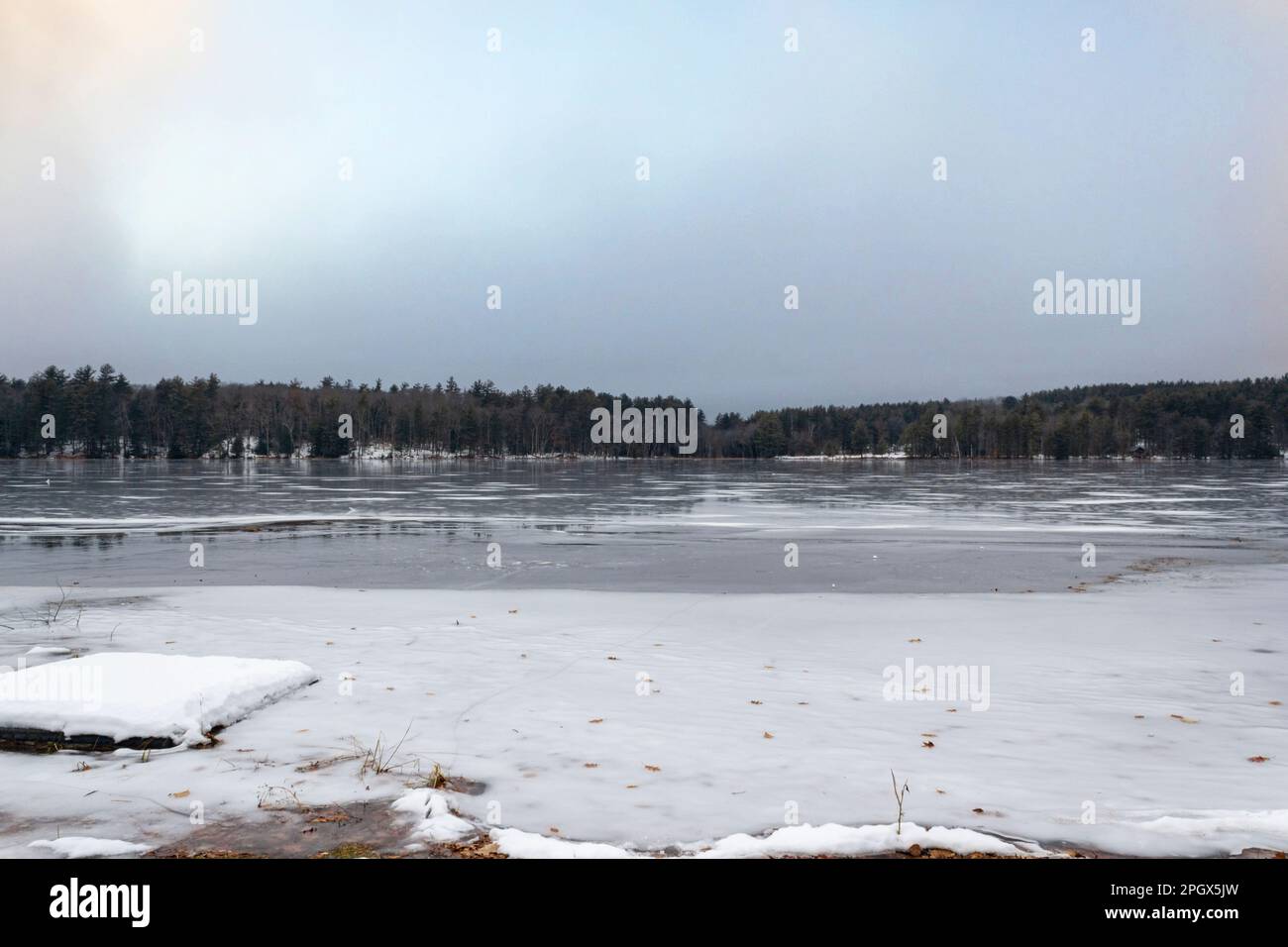 Winter landscape with snow and trees Stock Photo - Alamy