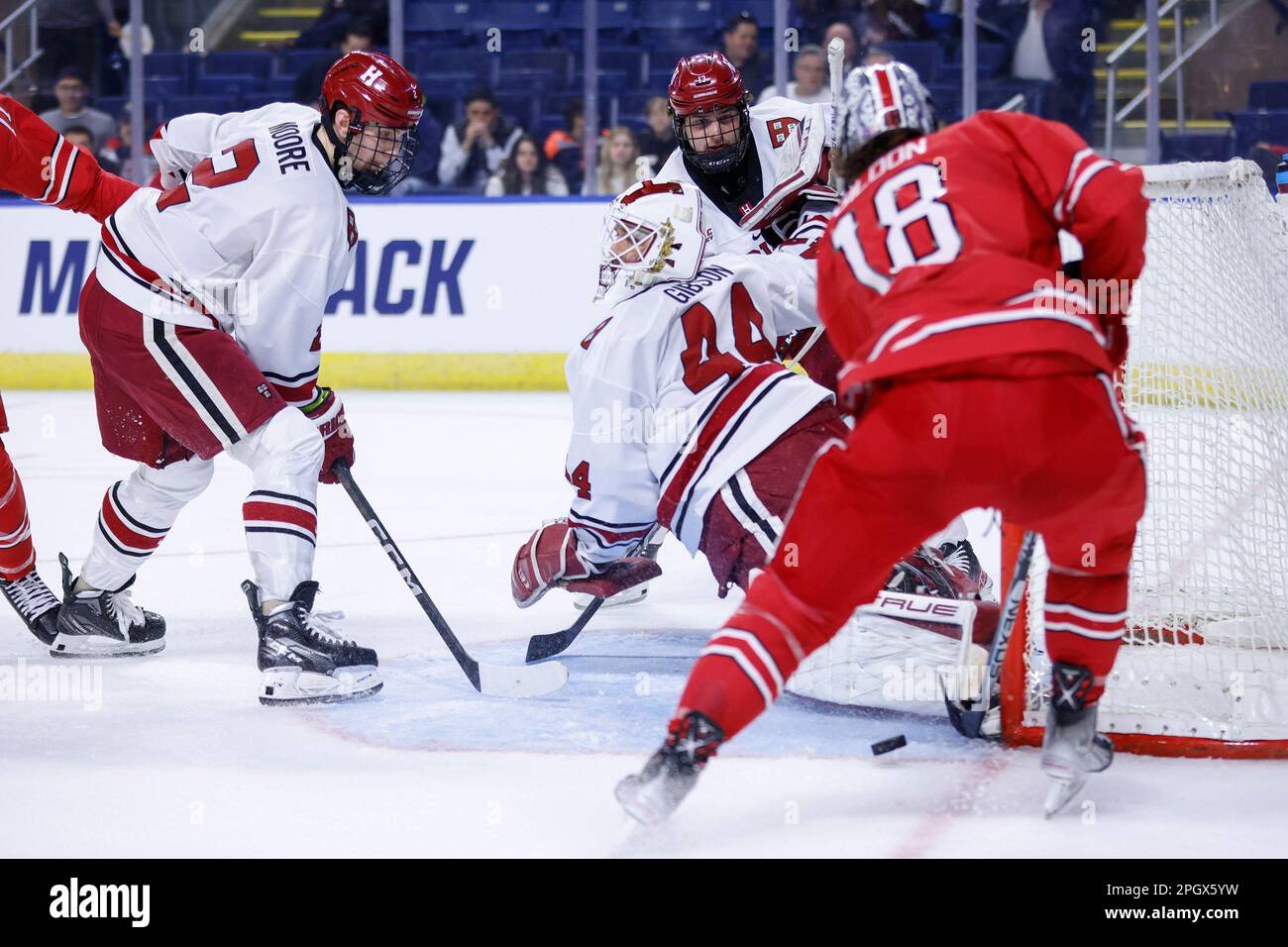 Harvard University goalie Mitchell Gibson (44) uses his leg to block a ...
