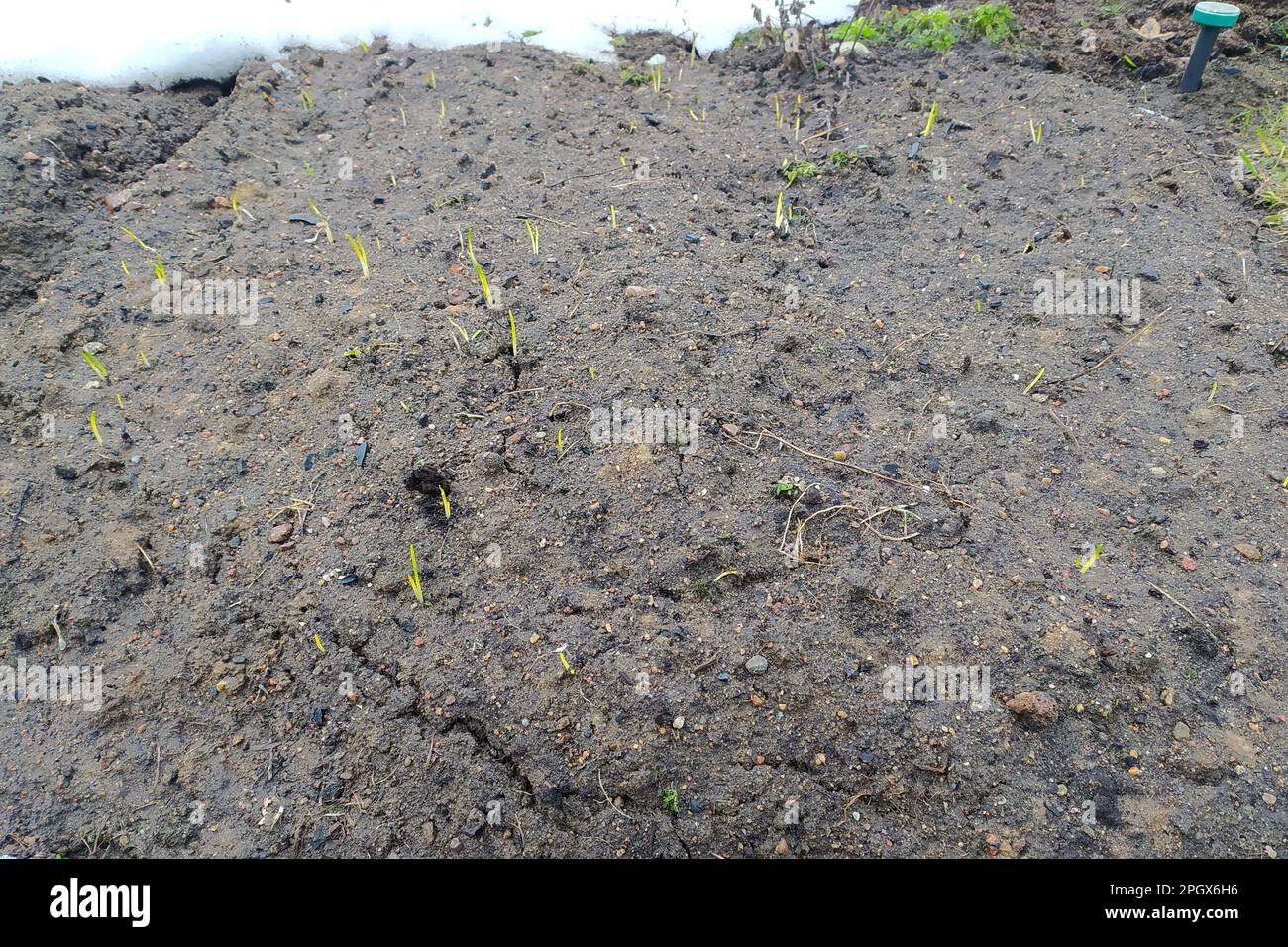 Russian Federation. Saint Petersburg and Leningrad region. Priozersky ...