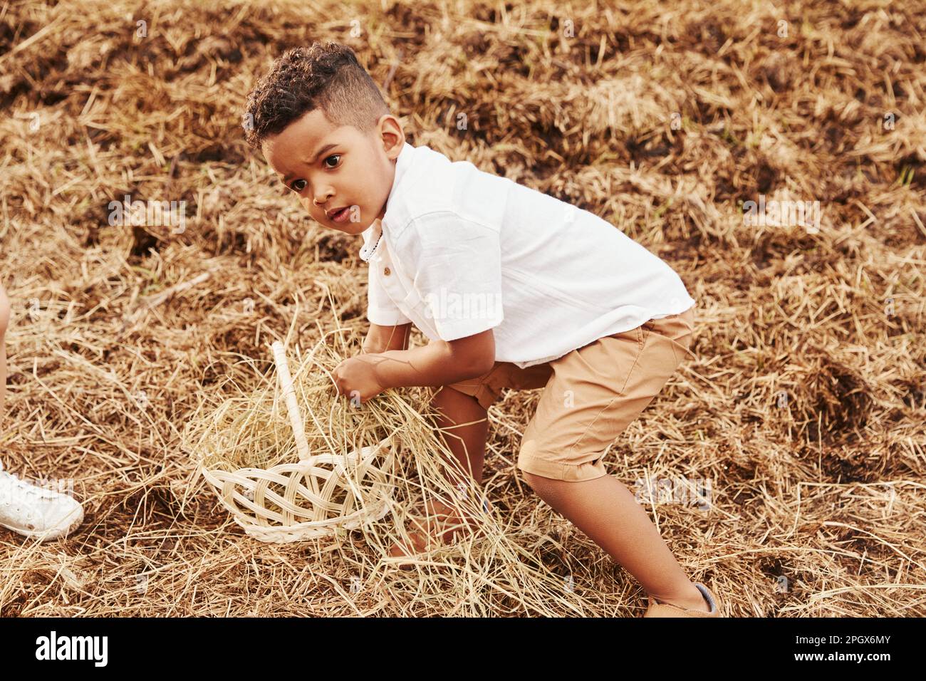Cute little african american boy is on the farm at summertime Stock ...