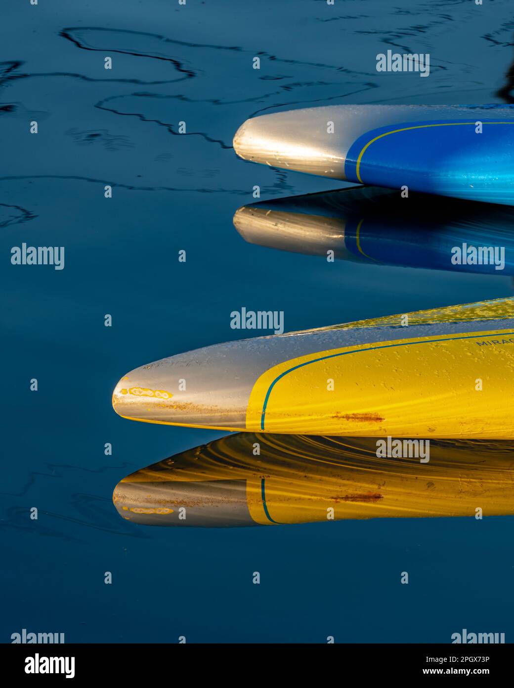 Two multi-colored paddle boards rest on a beach, with the surrounding ...