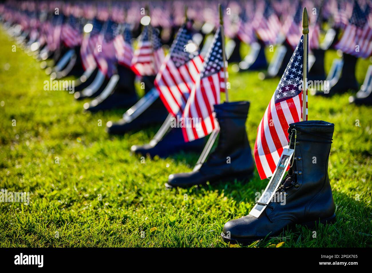 American flags planted in the grass, side of pair of black military ...