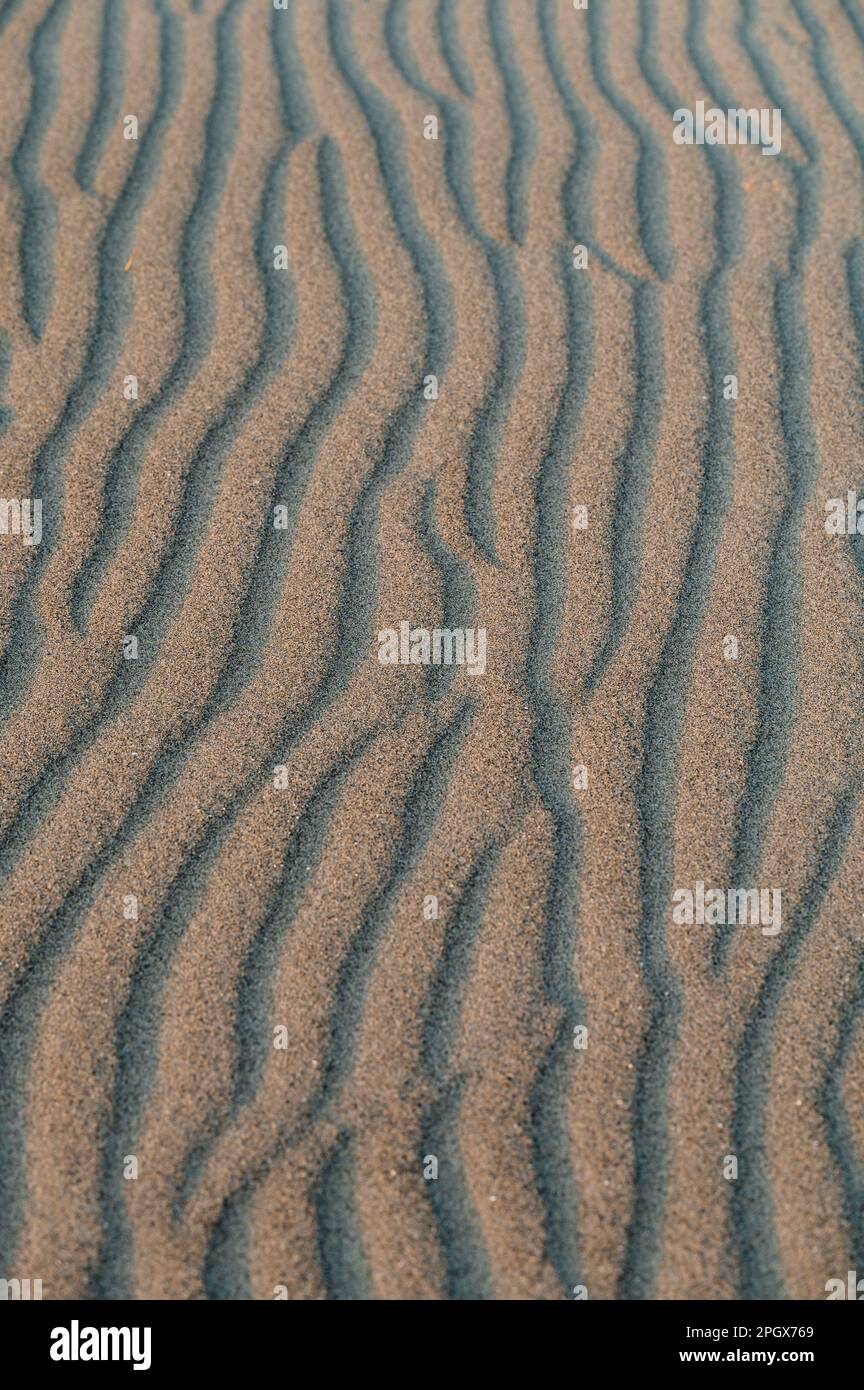 An aerial shot of a beach with thin lines of sand running through it ...