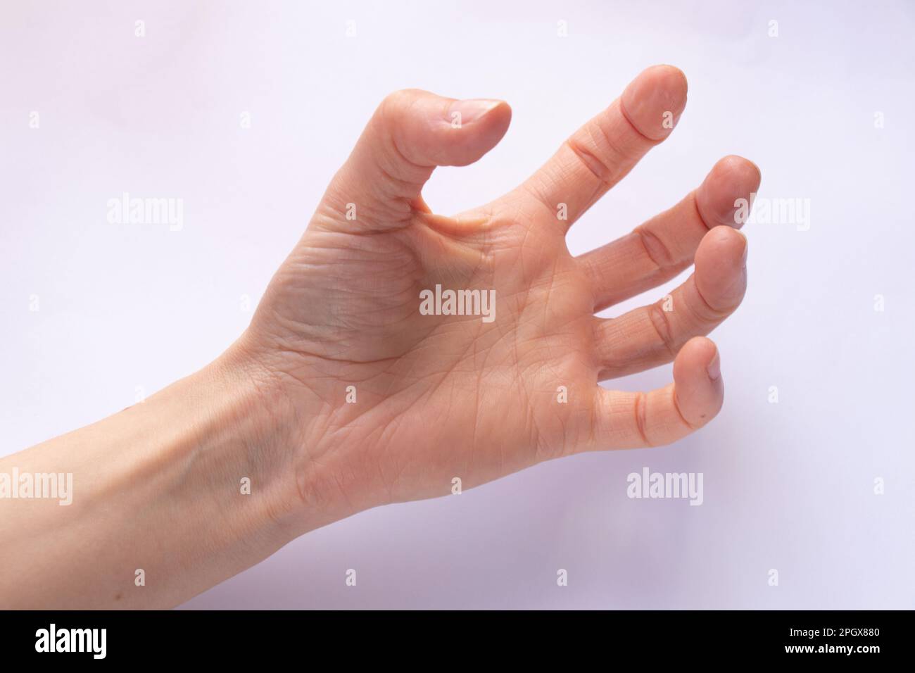 female hand on a white background Stock Photo - Alamy