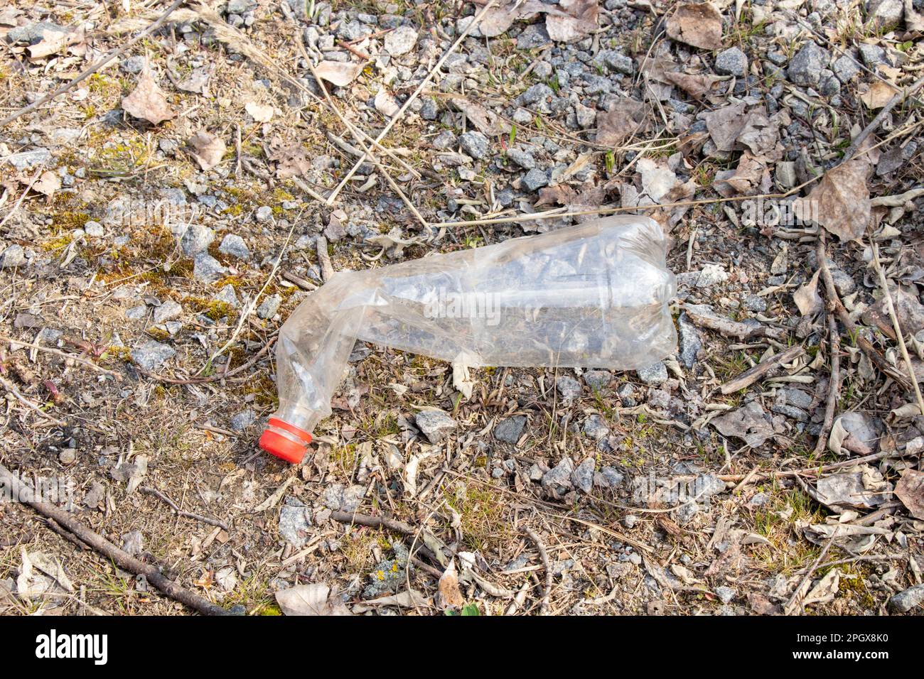 a plastic bottle lies on the grass, trash in nature Stock Photo - Alamy