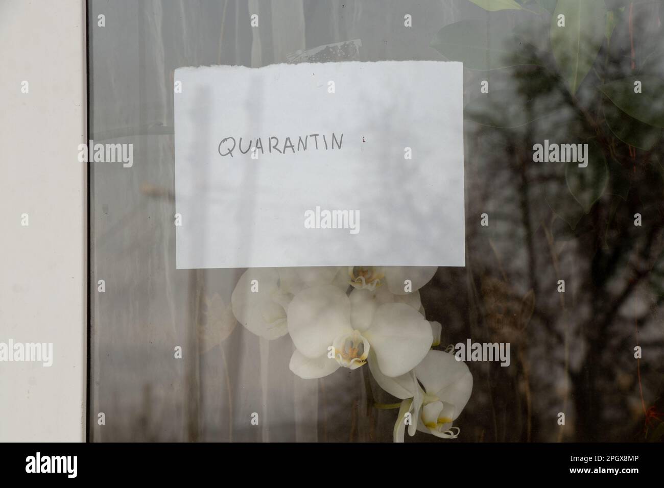 quarantine word in English written by hand hanging on a window of a ...