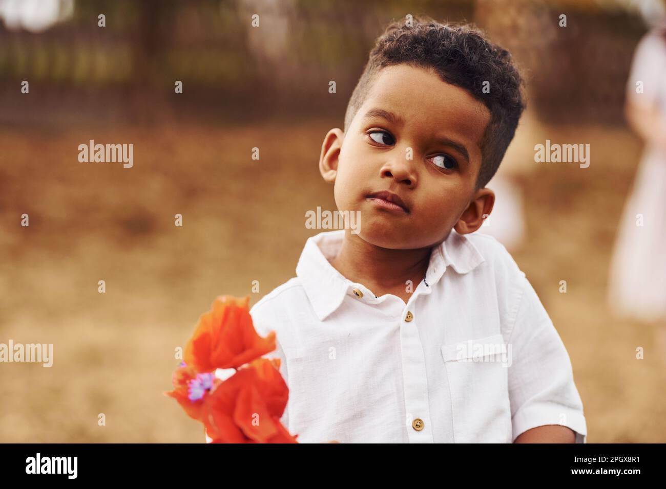 Cute little african american boy is on the farm at summertime holding ...