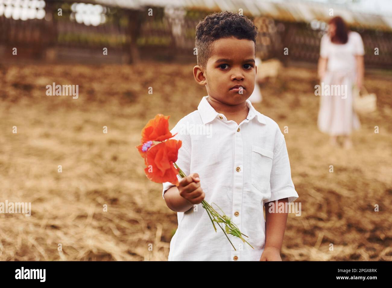 Cute little african american boy is on the farm at summertime holding ...