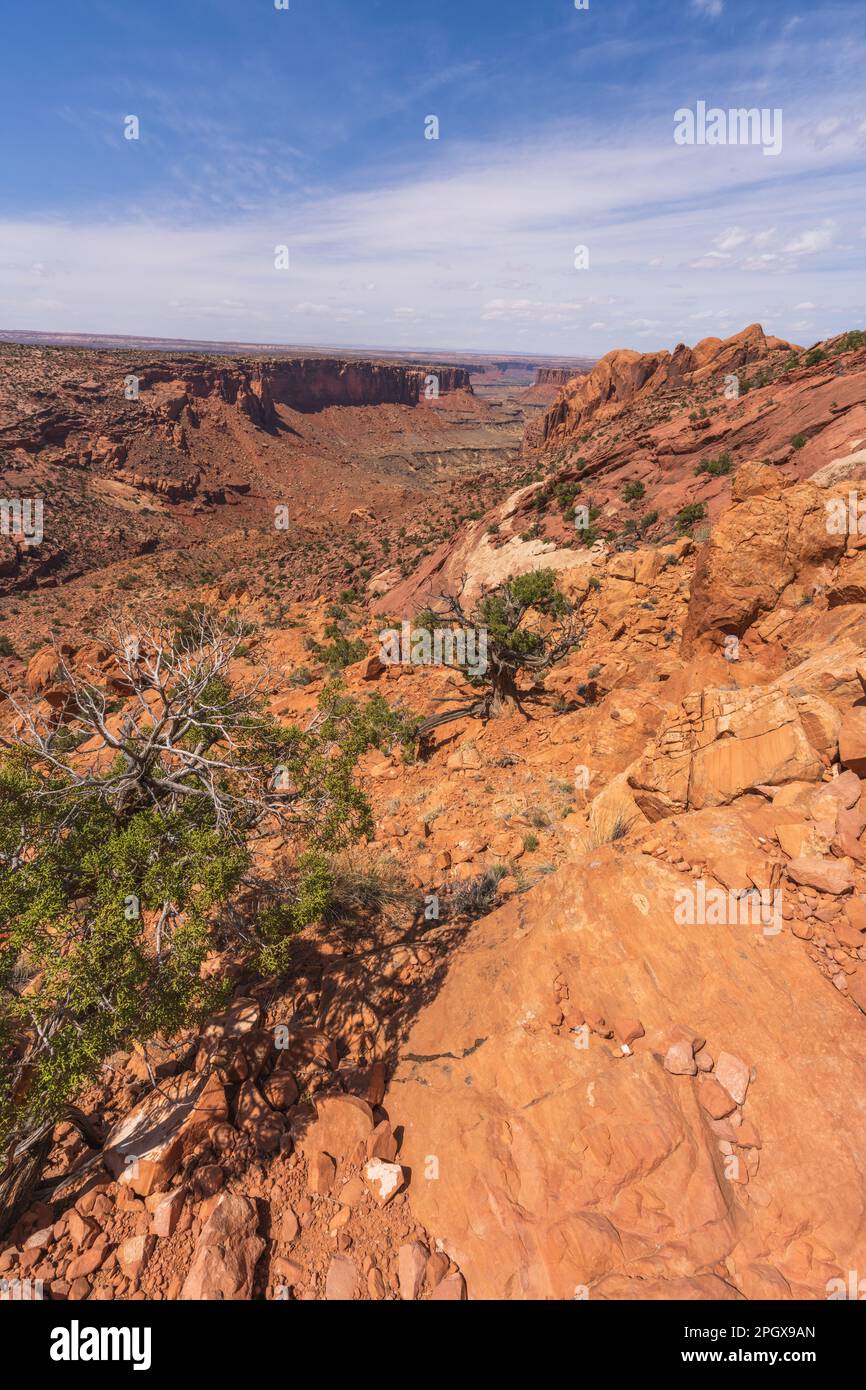 hiking the syncline loop trail in island in the sky district of ...