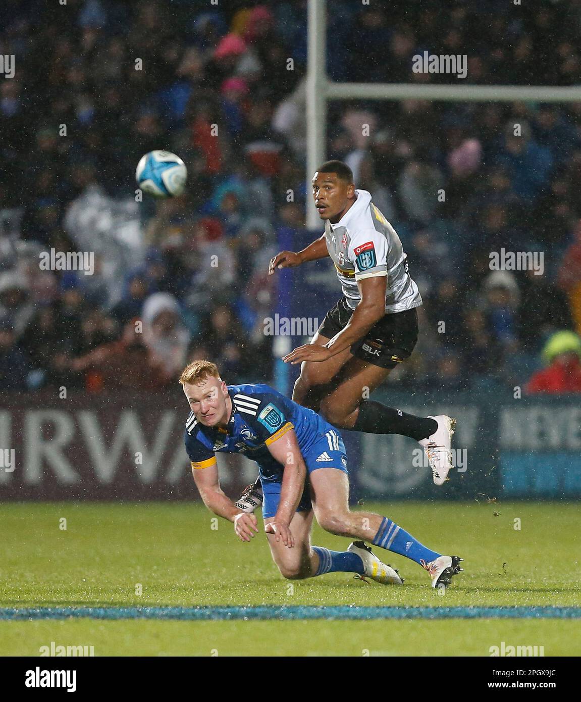 Damian willemse stormers 2023 hi-res stock photography and images - Alamy