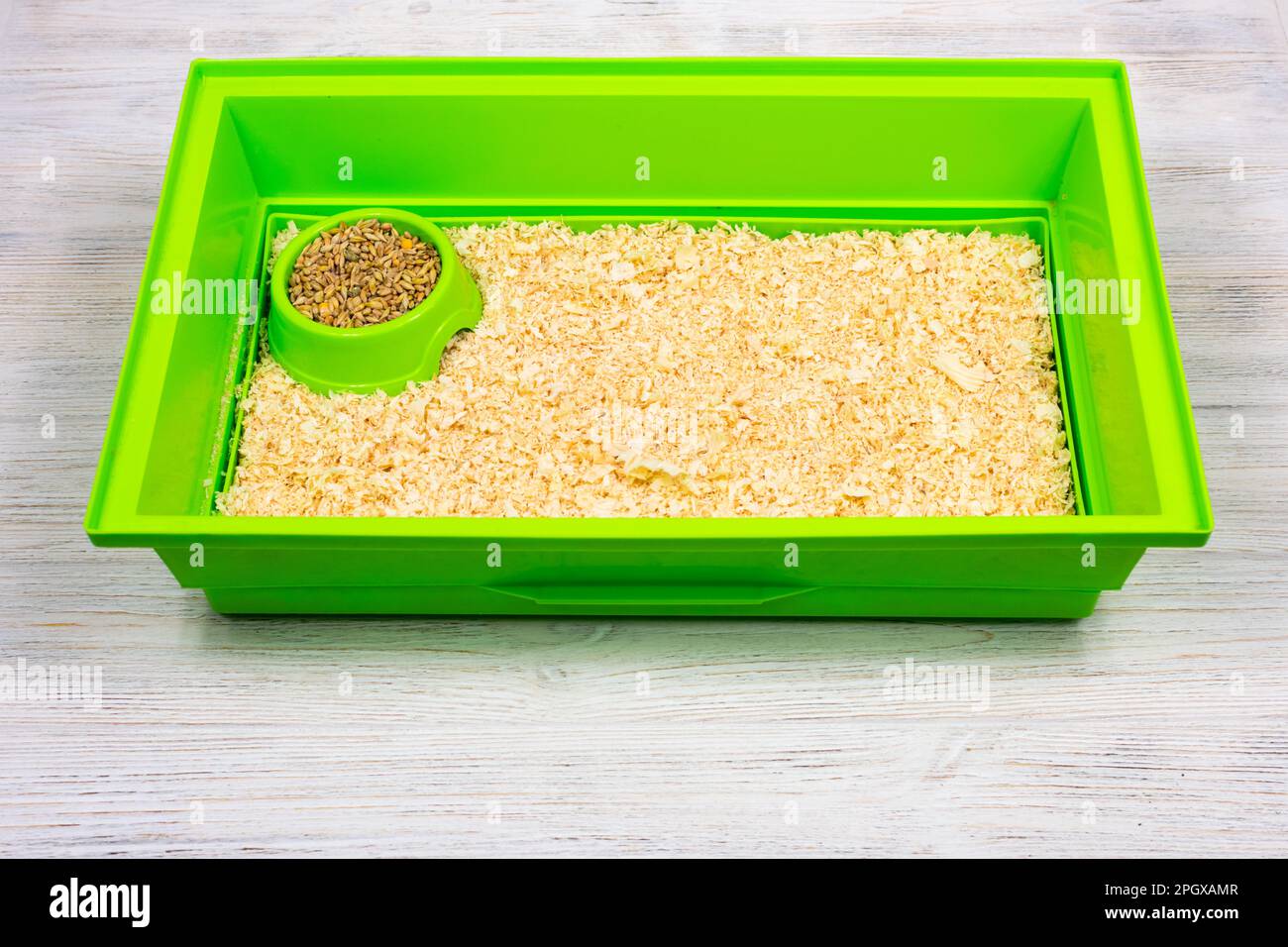 Guinea pig plastic cage hi-res stock photography and images - Alamy