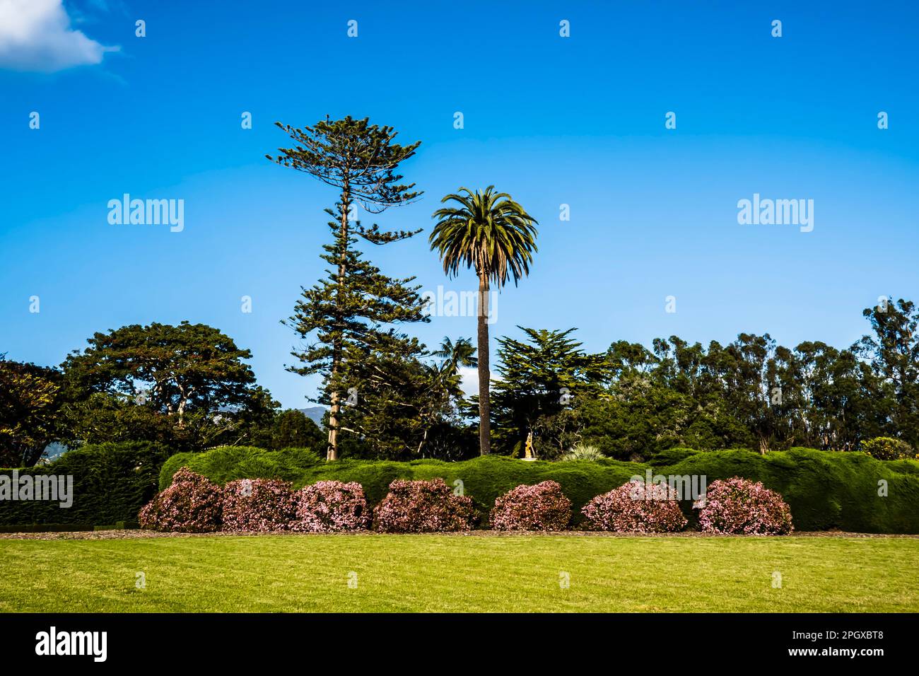 Landsca[ing at the Bellosguardo, the Clark Mansion in Santa Barbara ...