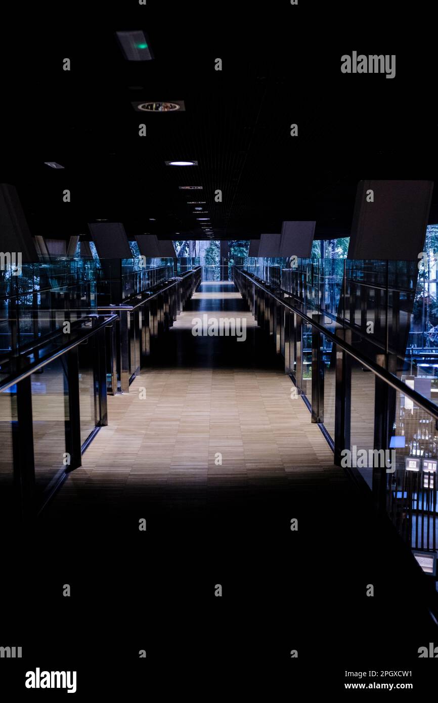 Dark empty corridor in a spooky interior scene with a hardwood floor ...
