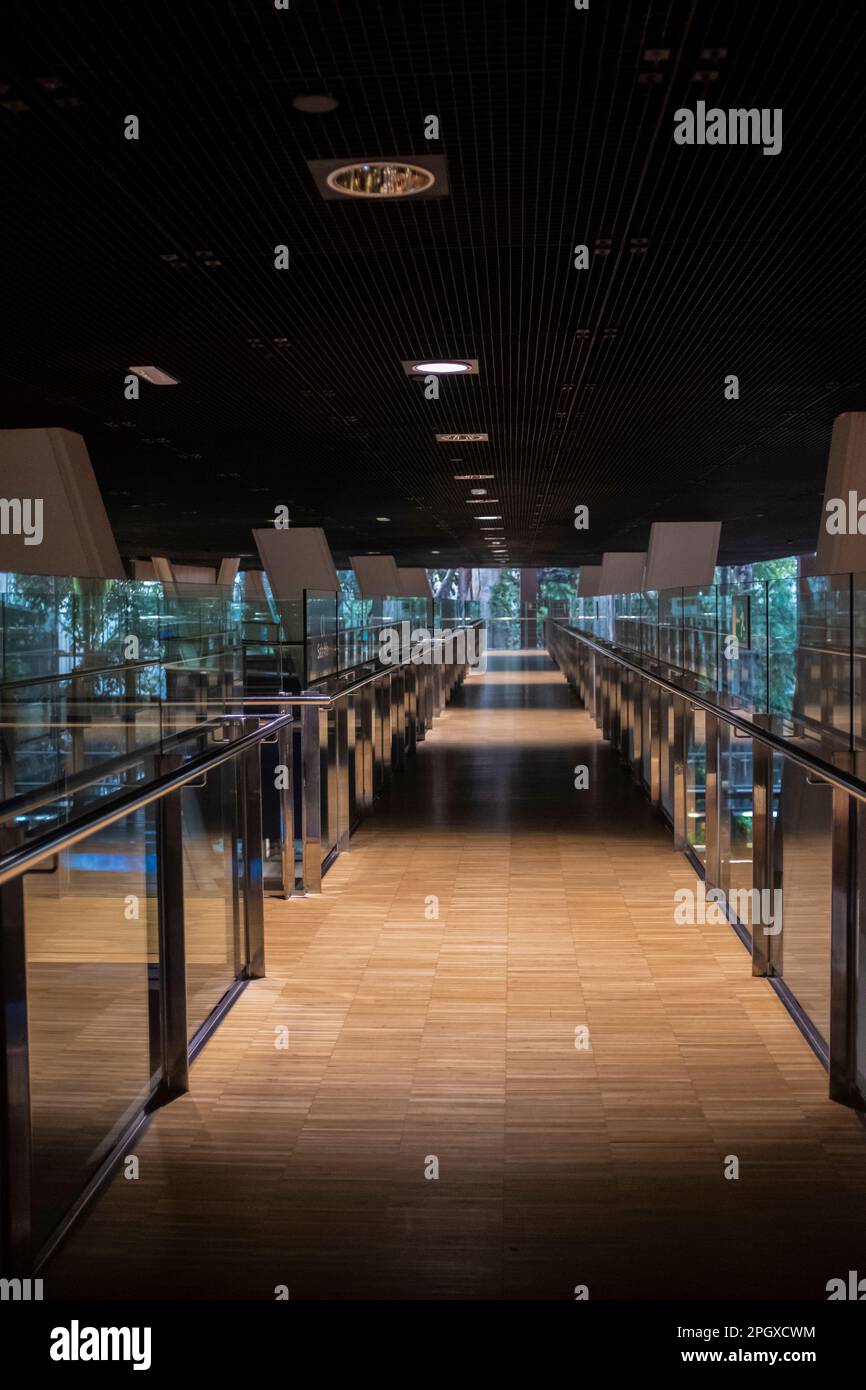 Dark empty corridor in a spooky interior scene with a hardwood floor ...