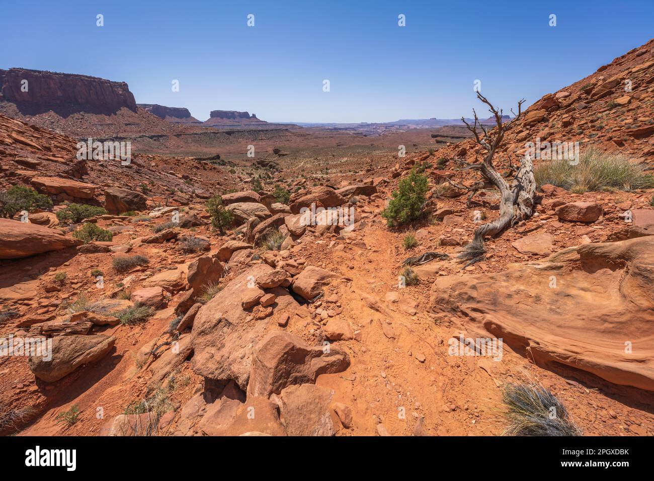 hiking the murphy trail loop in the island in the sky in canyonlands ...