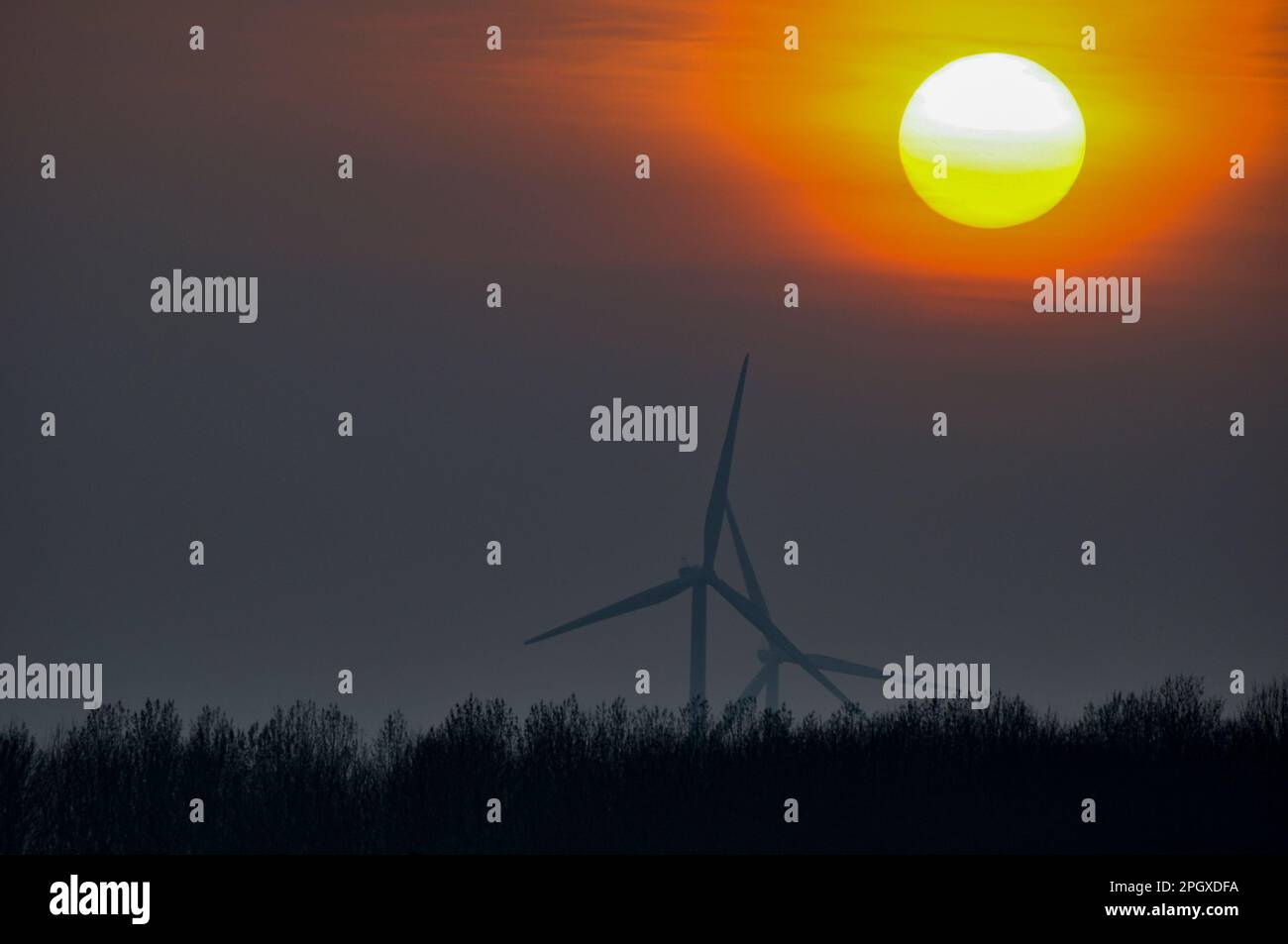 Wind farm at sunset. Sun setting behind wind turbines. Low Spinney Wind ...
