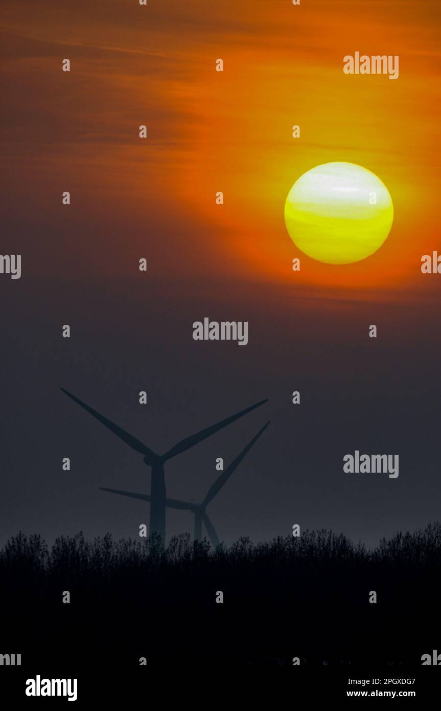 Wind farm at sunset. Sun setting behind wind turbines. Low Spinney Wind ...