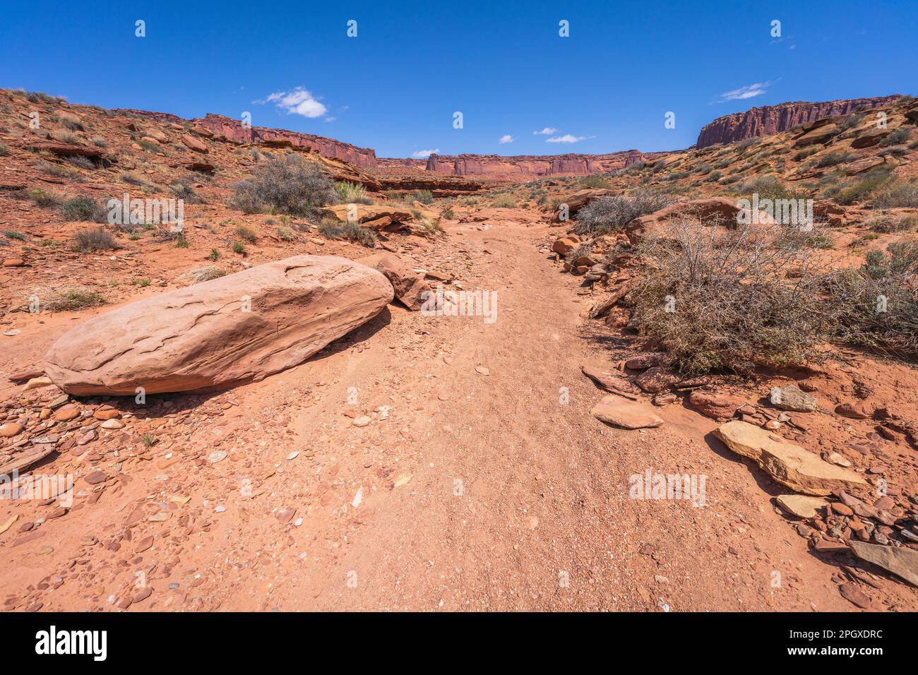 hiking the murphy trail loop in the island in the sky in canyonlands national park in the usa ...