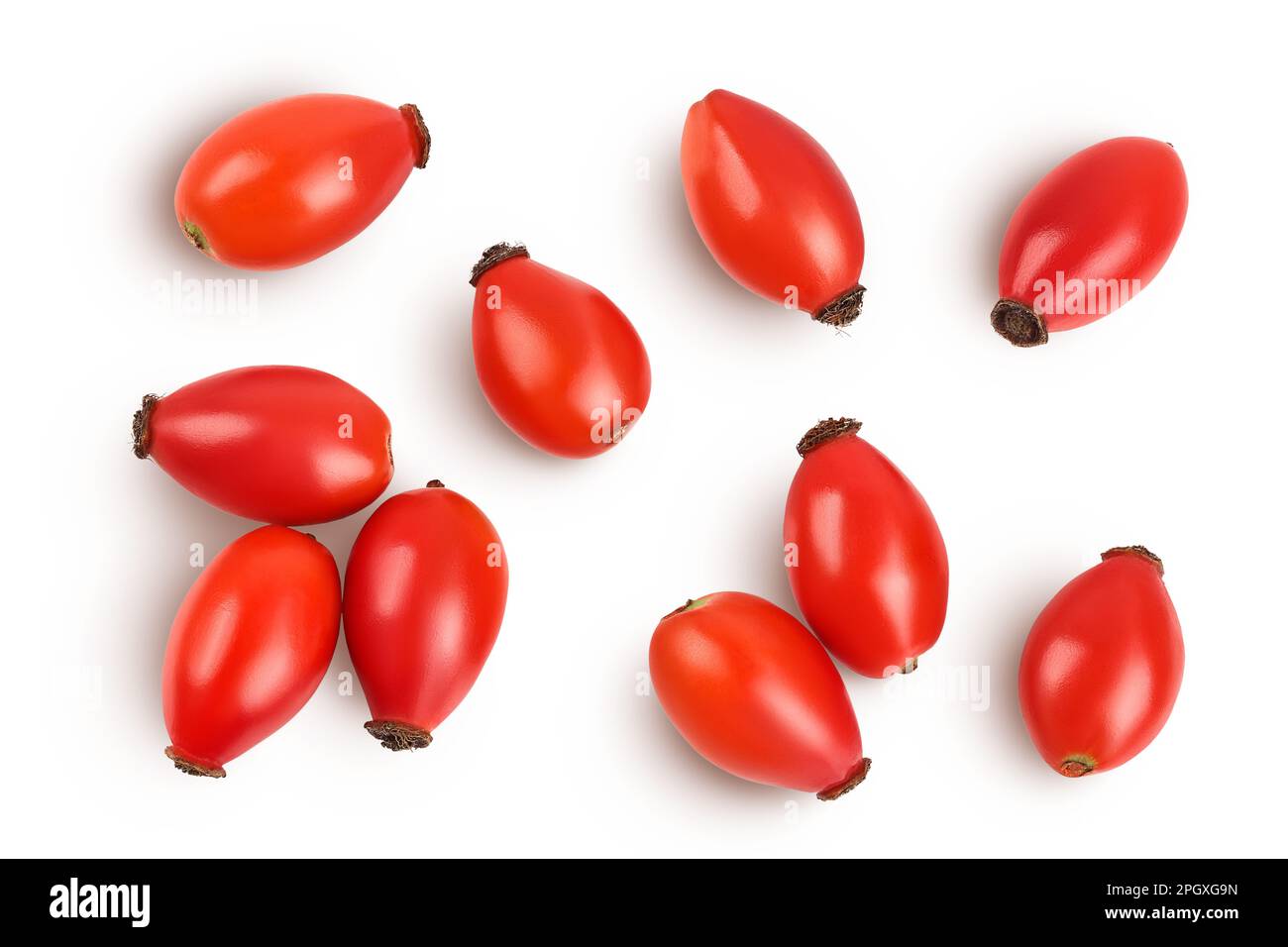Rose hip isolated on a white background with full depth of field. Top ...