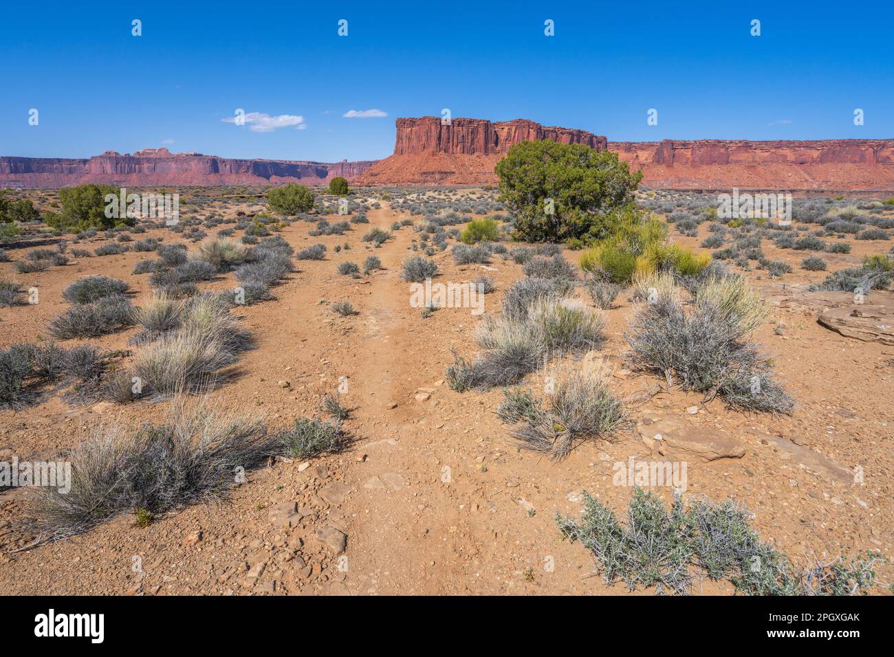 hiking the murphy trail loop in the island in the sky in canyonlands ...