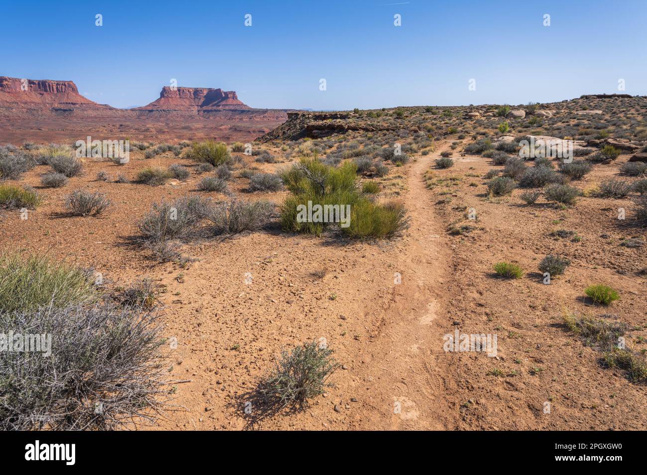 hiking the murphy trail loop in the island in the sky in canyonlands ...