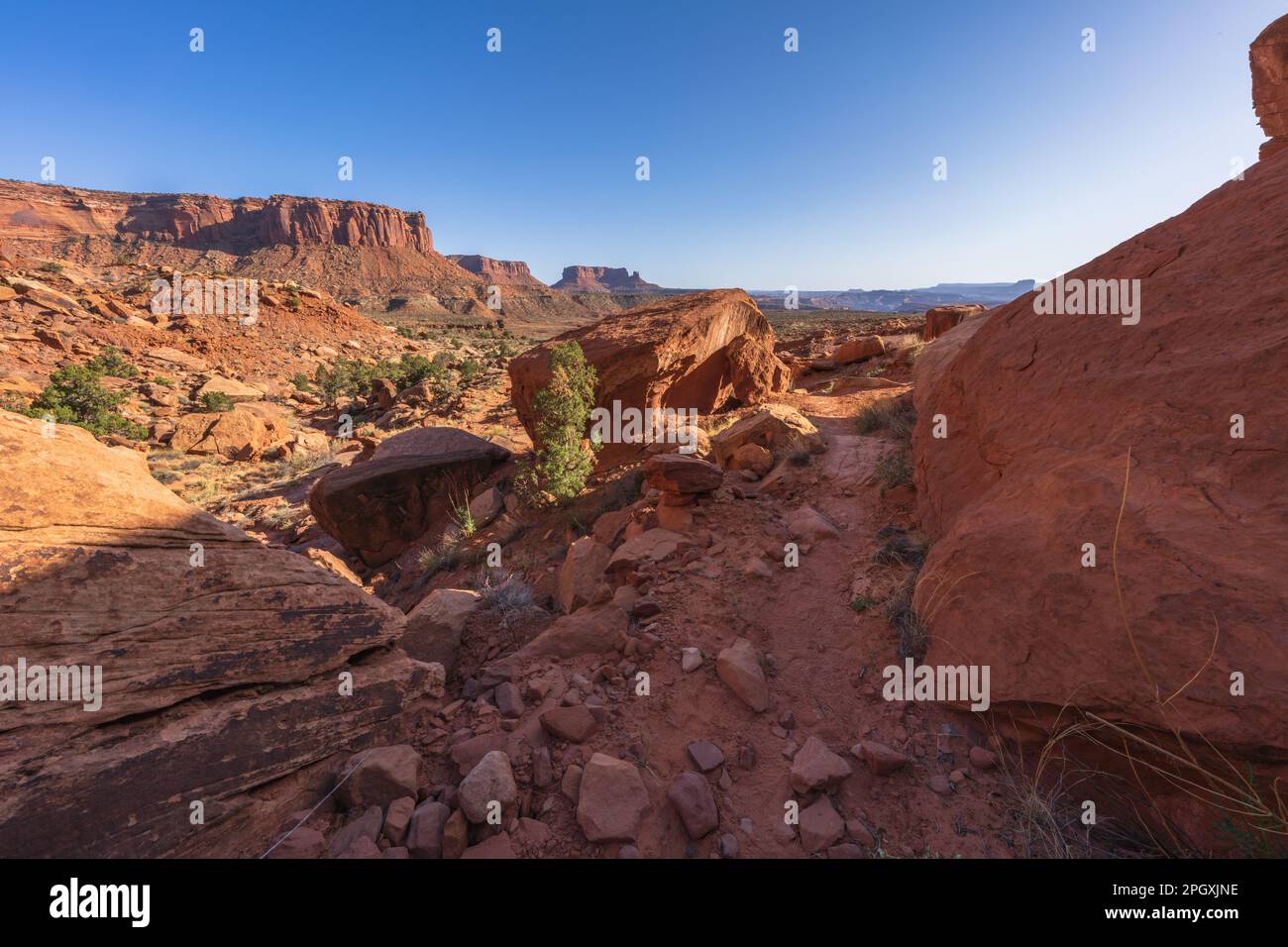 hiking the murphy trail loop in the island in the sky in canyonlands ...