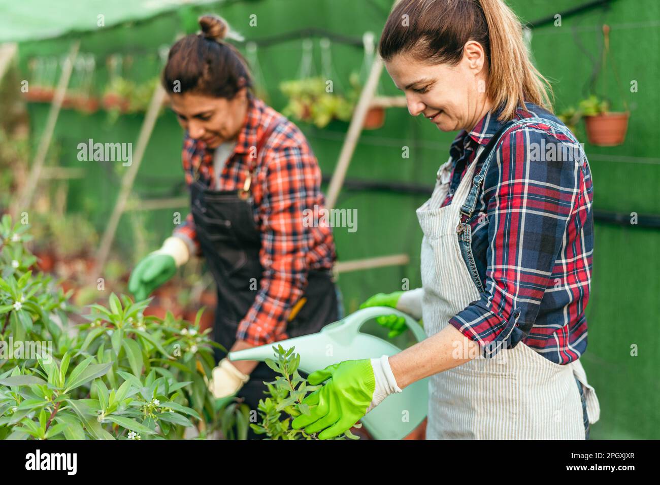 Happy women working together in plants and flowers garden shop Stock ...