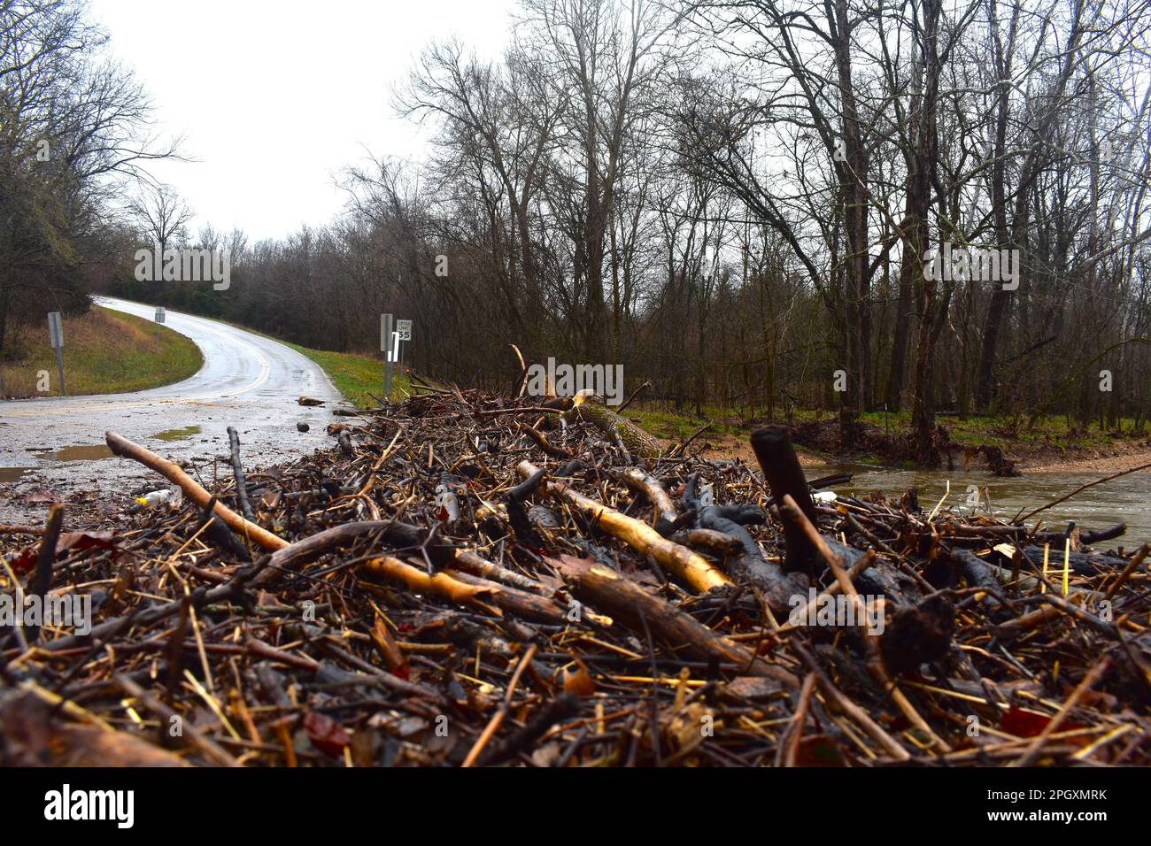 Debris from flashing flooding of Four Mile Creek at P Hwy in Long Lane ...