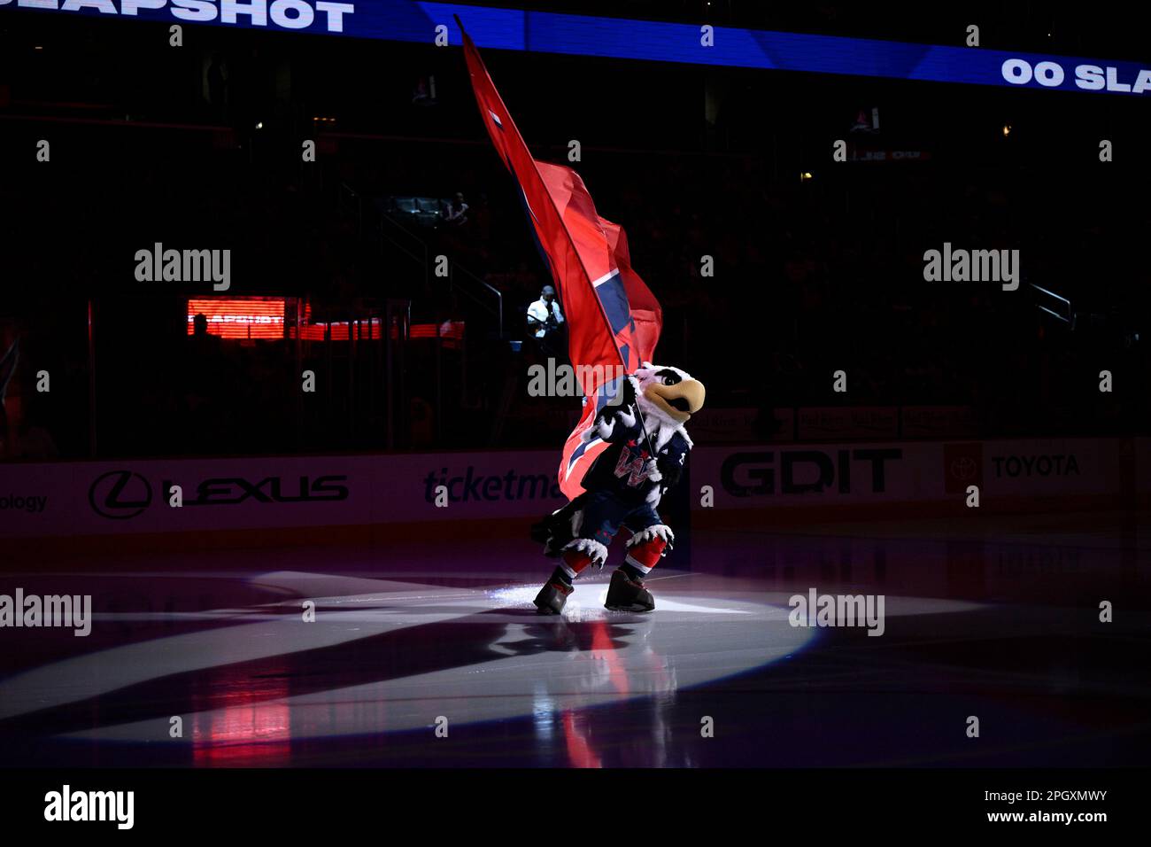 Washington Capitals mascot Slapshot skates on the ice before an NHL ...