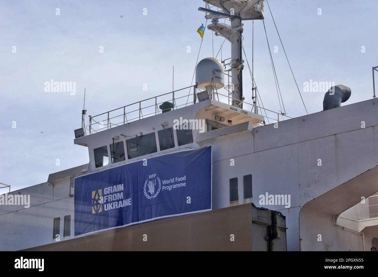 Negmar cicek hi-res stock photography and images - Alamy