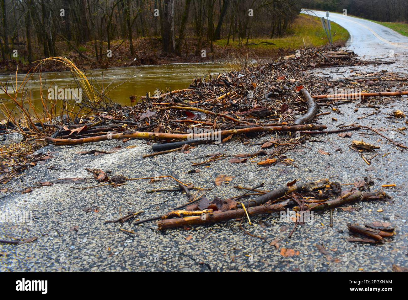 Debris from flashing flooding of Four Mile Creek at P Hwy in Long Lane ...
