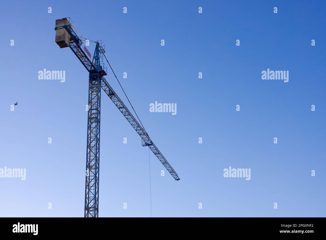 Close up of an isolated crane with blue background Stock Photo - Alamy