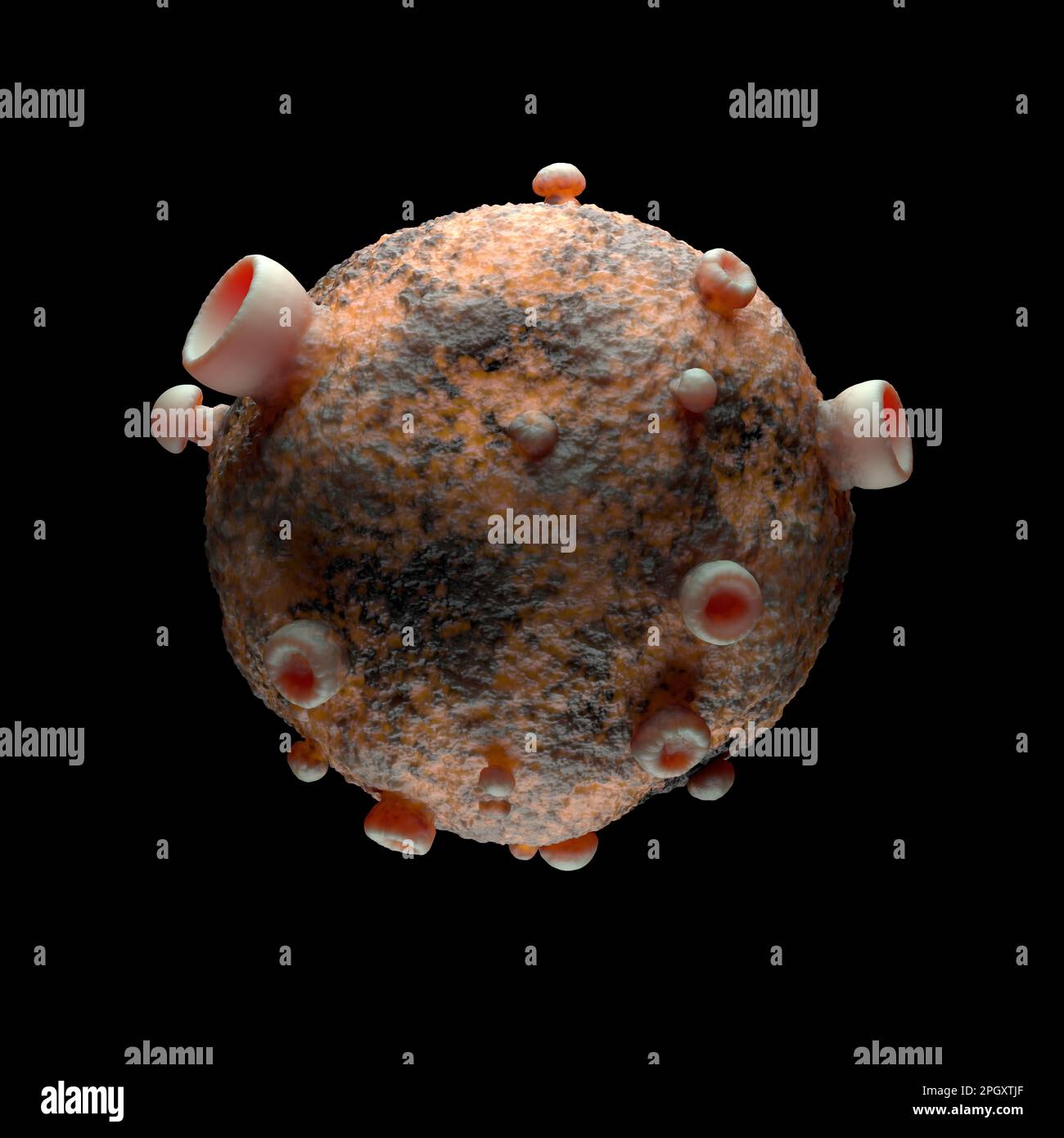 A 3D rendering of a realistic microscopic bacteria cell with spores ...