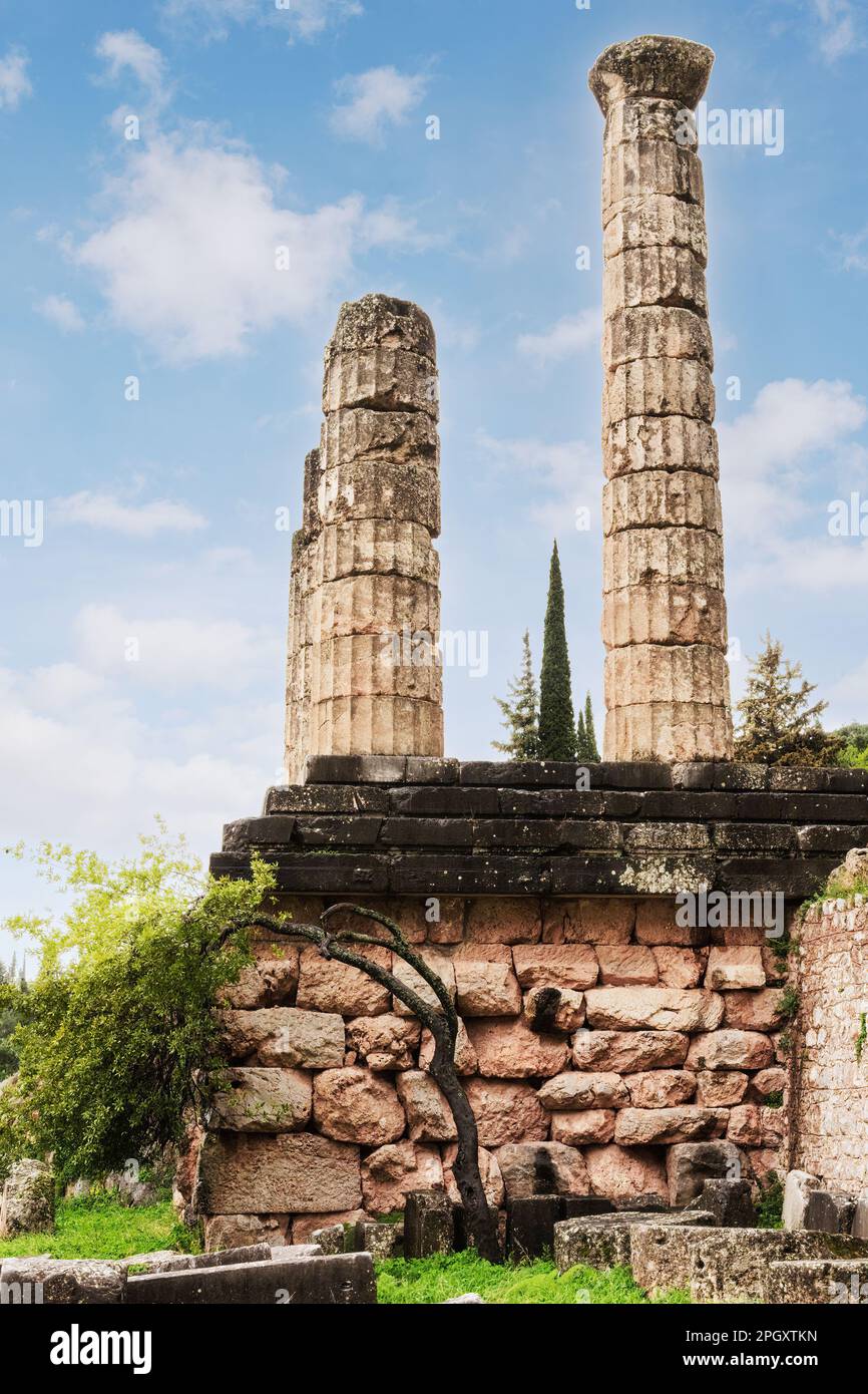 Ruins of an ancient temple, Temple Of Apollo At Delphi Oracle, Greece ...