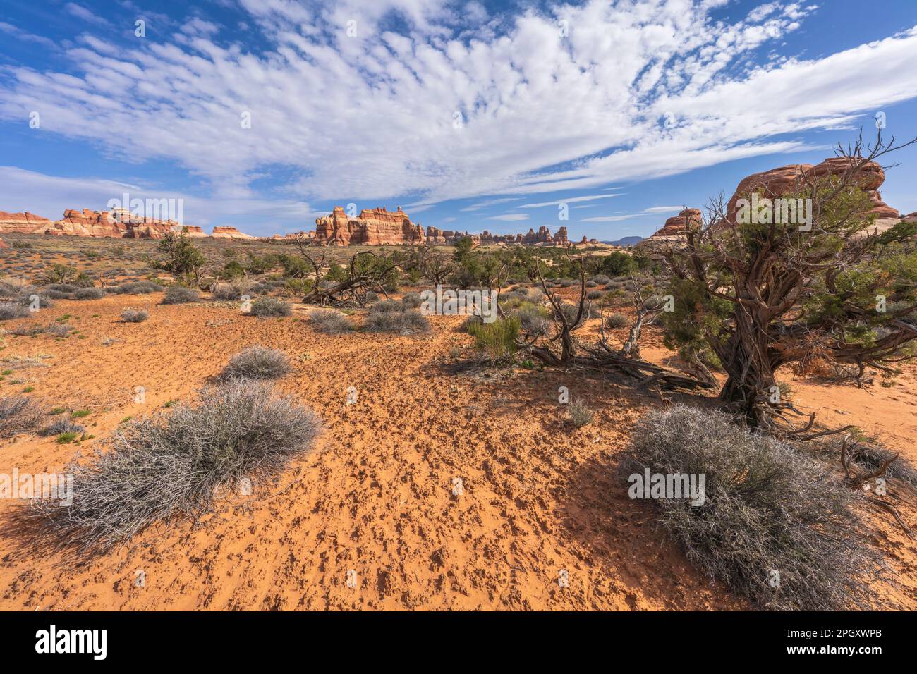 hiking the chesler park loop trail in the needles in canyonlands ...