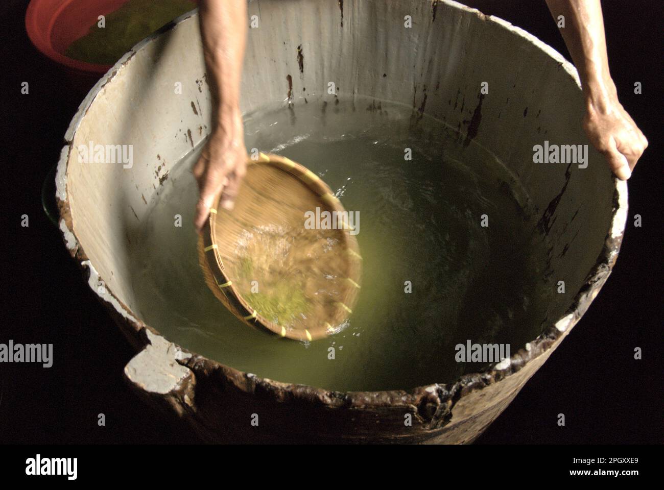 A worker stirring up freshwater in a barrel where mung beans are ...