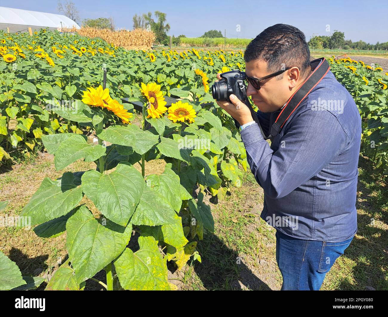 Screen capture photos hi-res stock photography and images - Alamy
