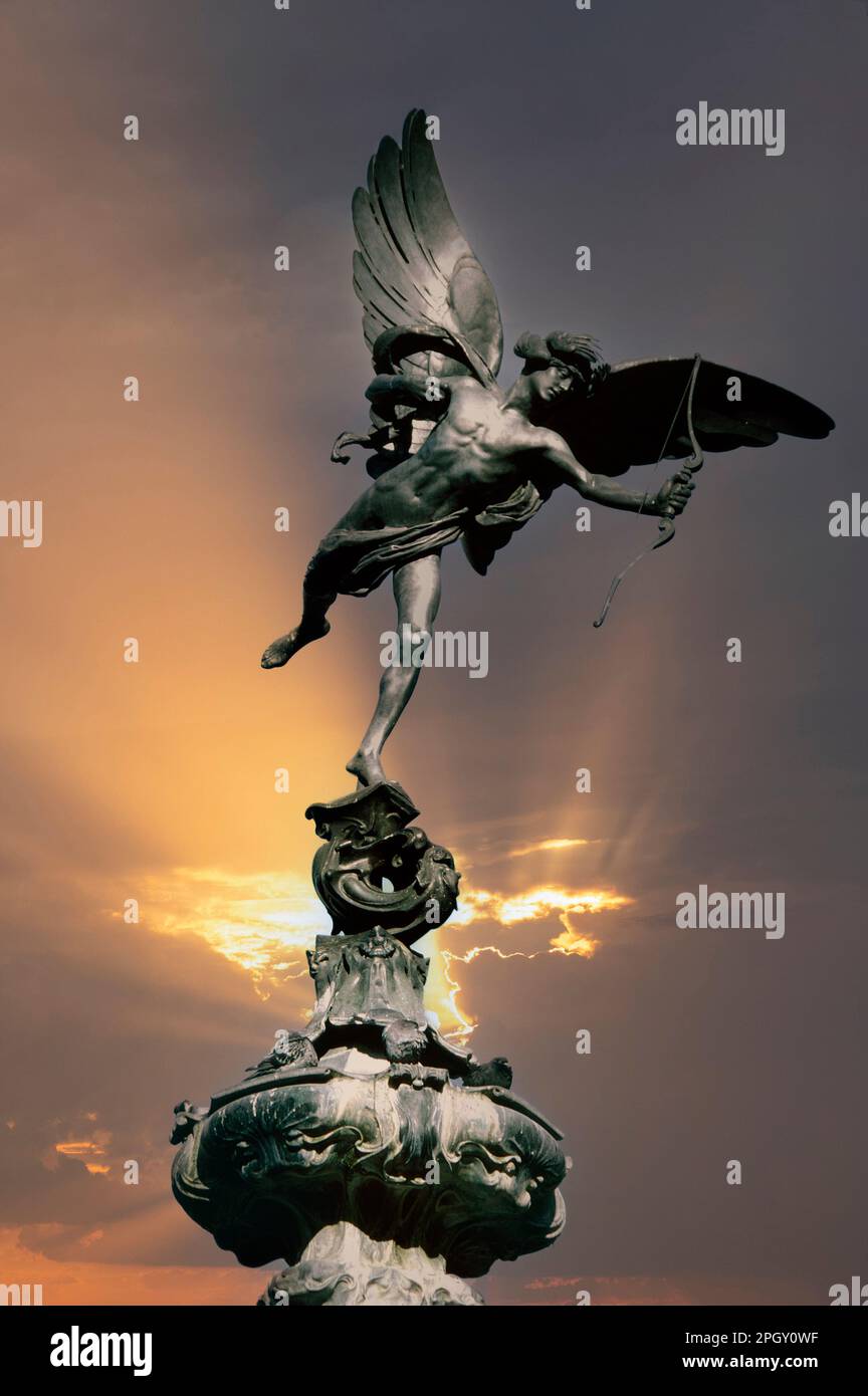 Antheros hi-res stock photography and images - Alamy